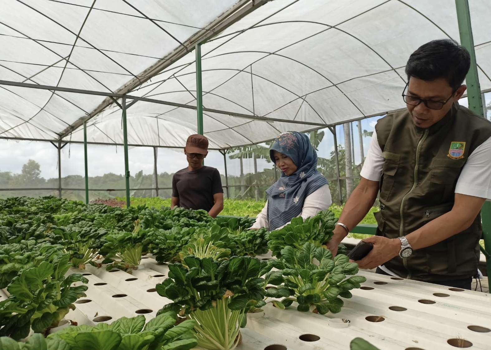 Desa Sukaragam Kembangkan Hidroponik sebagai Gerakan Ketahanan Pangan Desa Sukaragam Kembangkan Hidroponik sebagai Gerakan Ketahanan Pangan