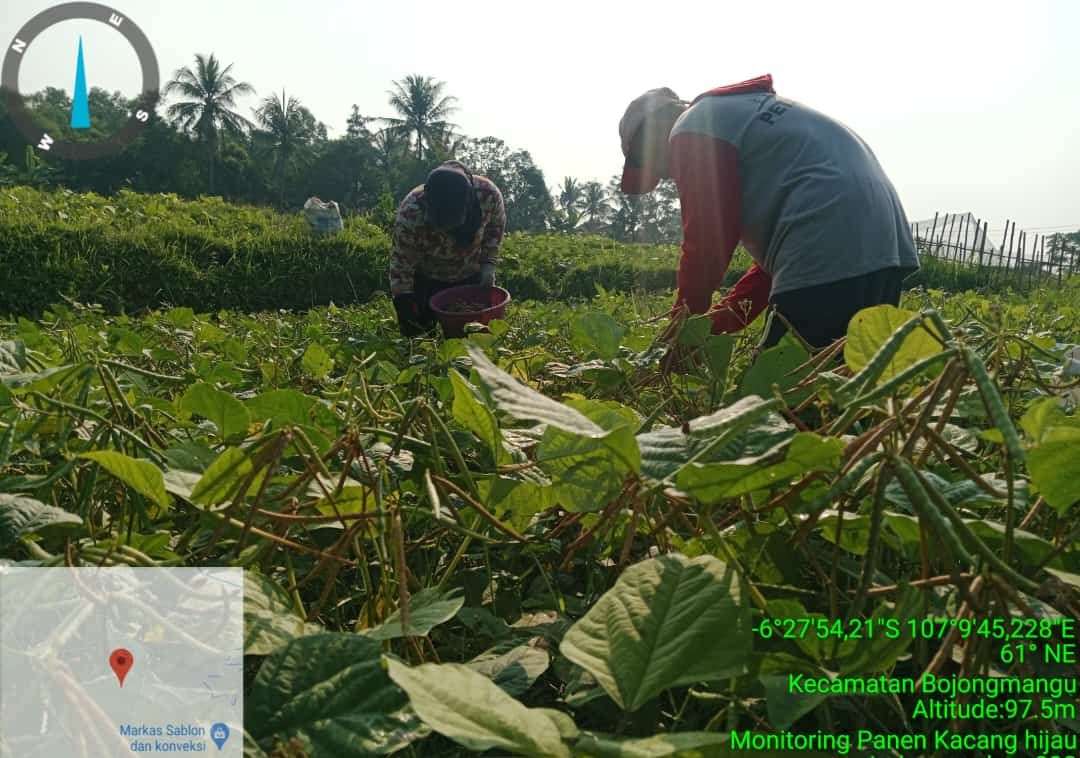 Ketersediaan Pangan Tetap Terjaga, Dinas Pertanian Percepatan Musim ...