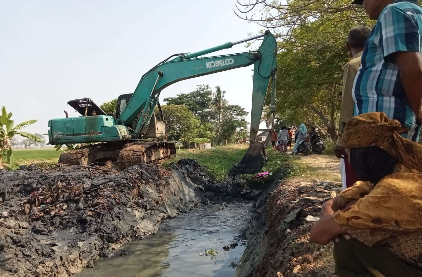 Atasi Kekeringan Lahan Pertanian, Kecamatan Tambelang Normalisasi Saluran Irigasi Tersier